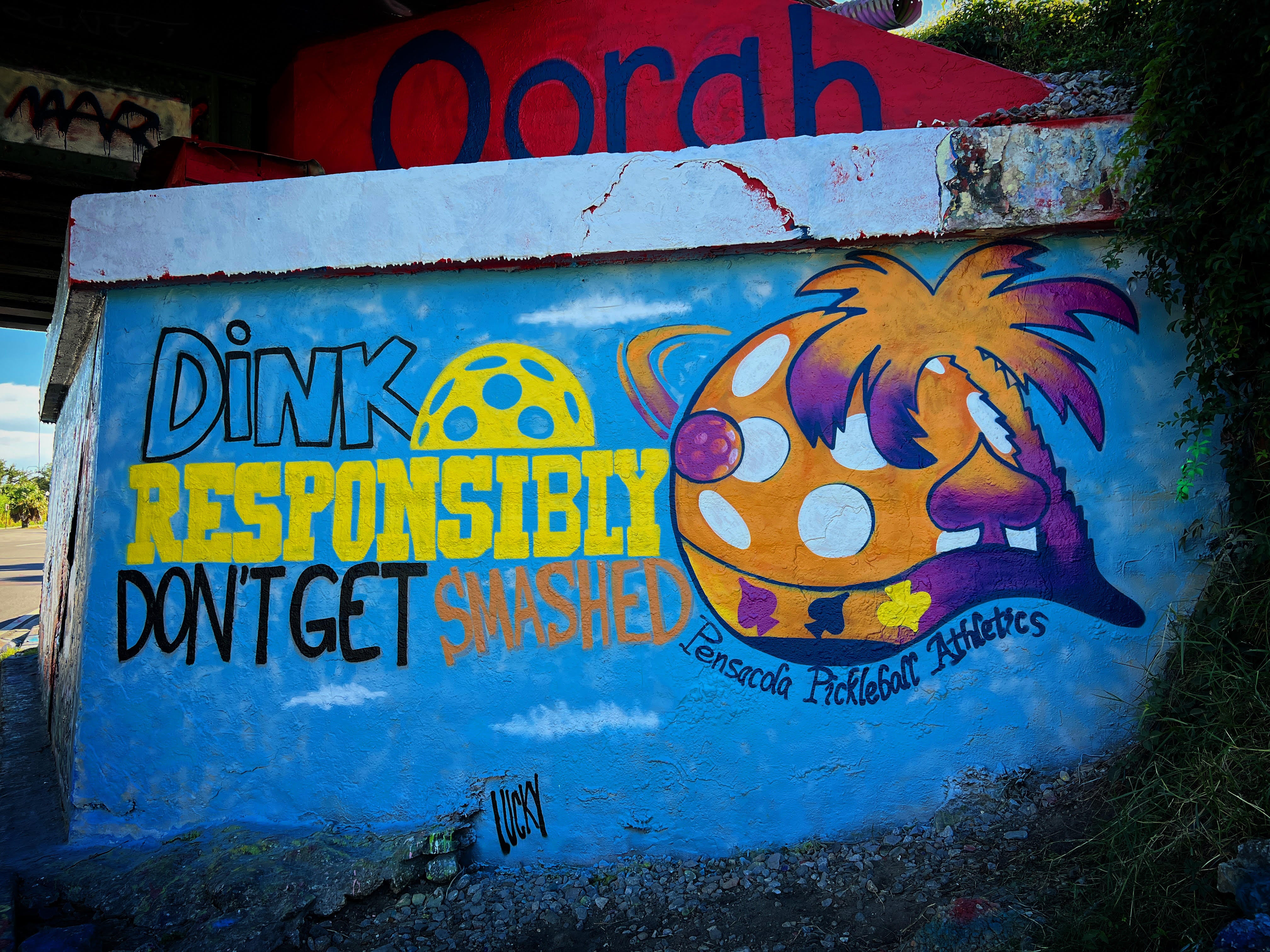 "Dink Responsibly, Don't Get Smashed: 5 Steps to Successful Dinking ...